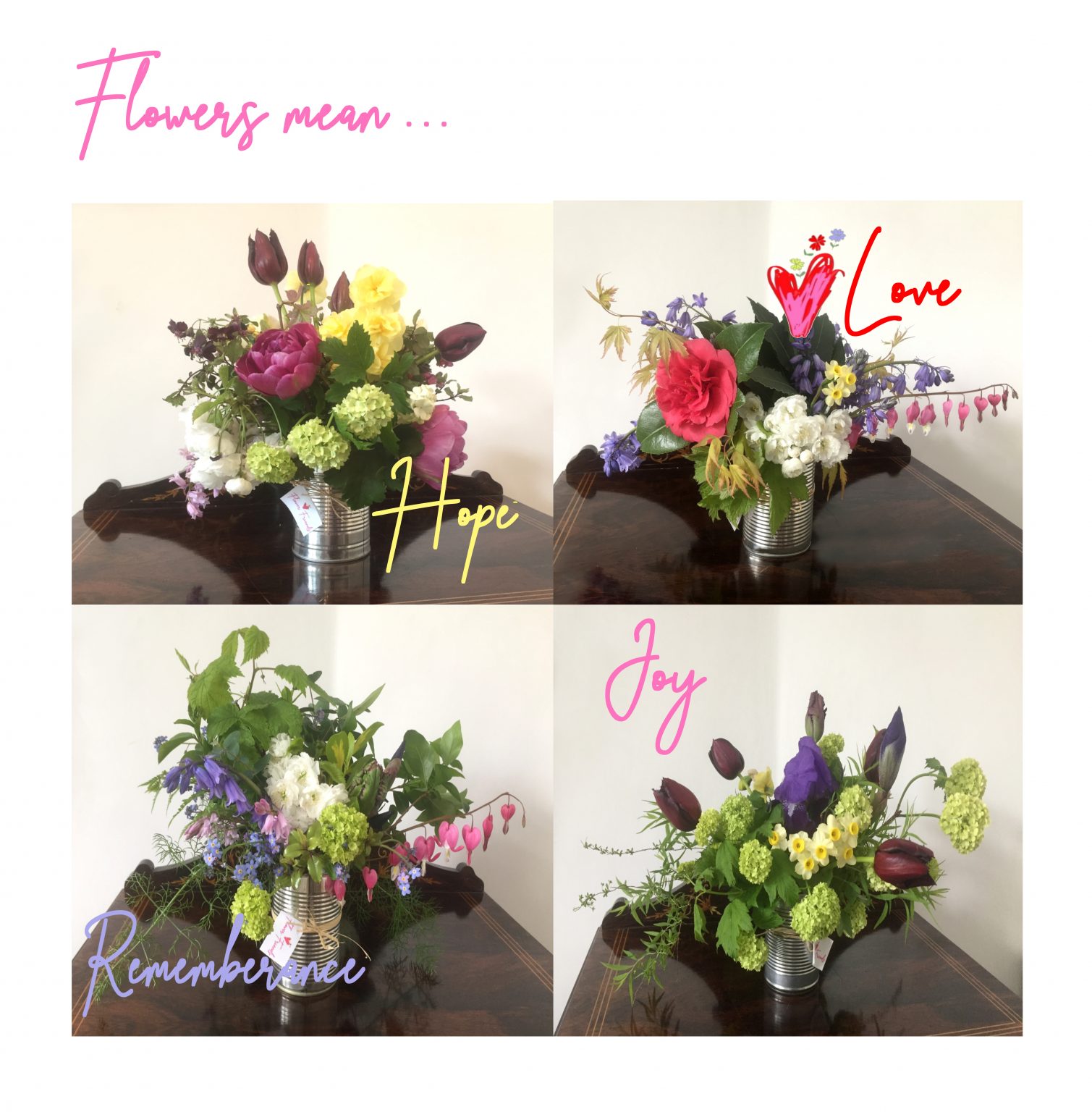 The language of flowers – Flower Friends