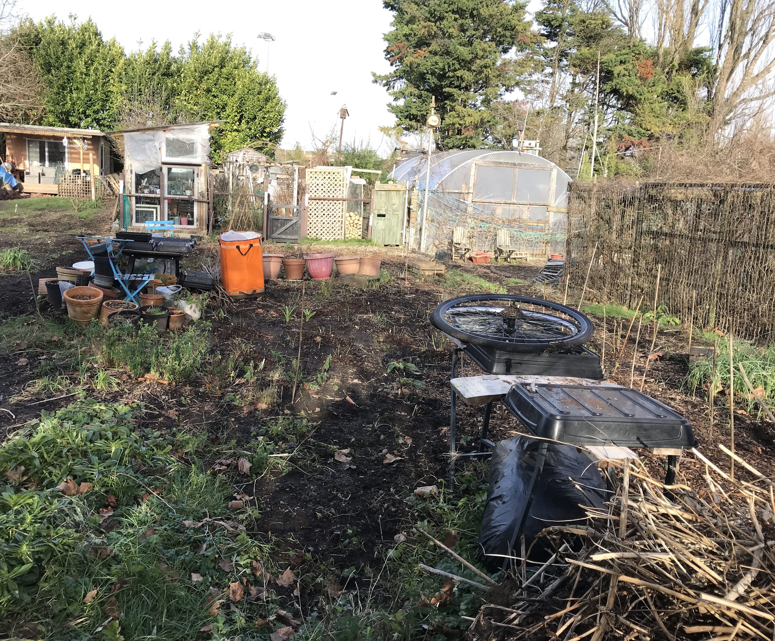 The Magic of Spring – Flower Friends